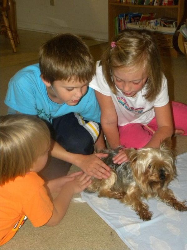 DIY Dog Chef Hat + Treat Ideas - Hobbies on a Budget