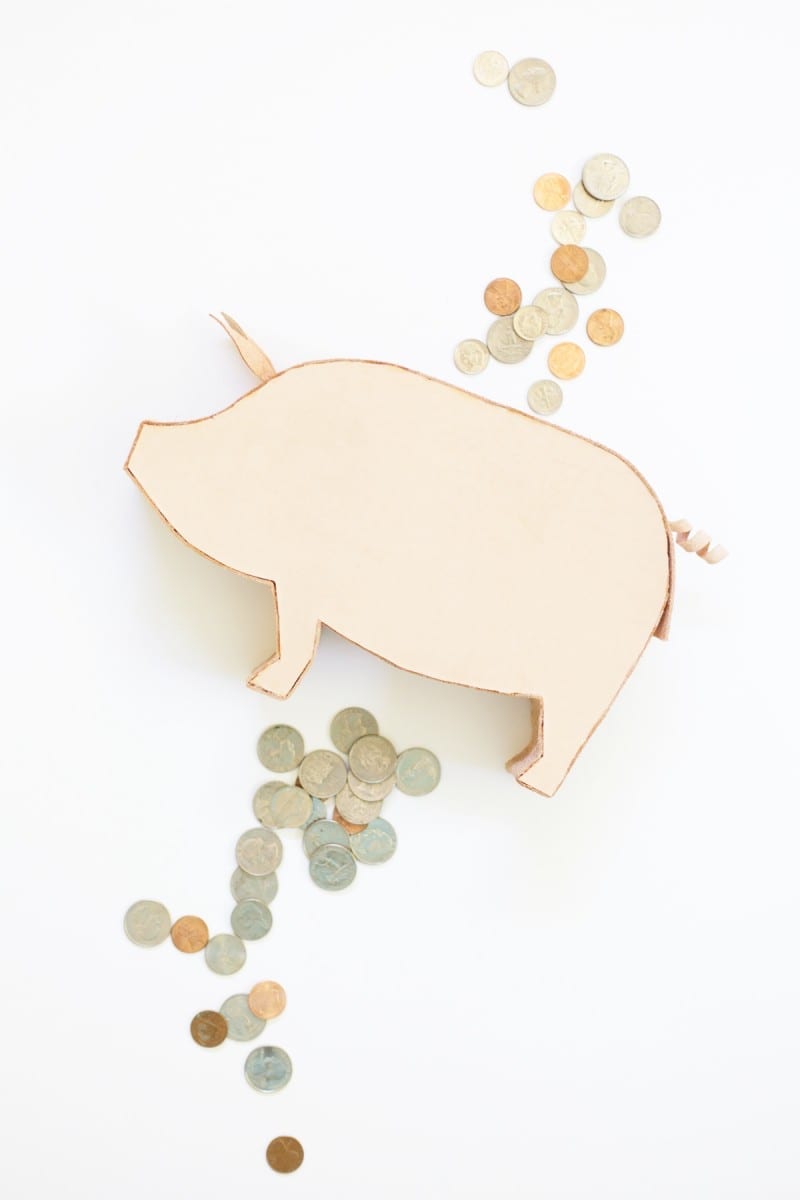 Growing Dreams: One Coin at a Time - Hobbies on a Budget