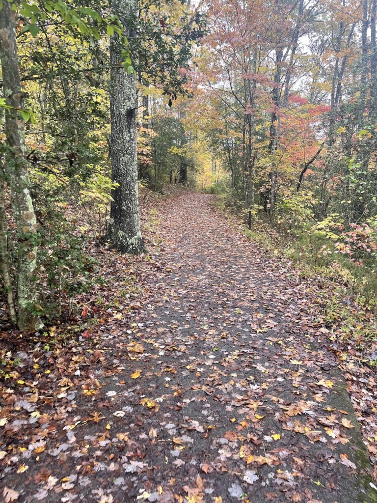 Devil’s Jump Overlook for Fall Colors - Hobbies on a Budget