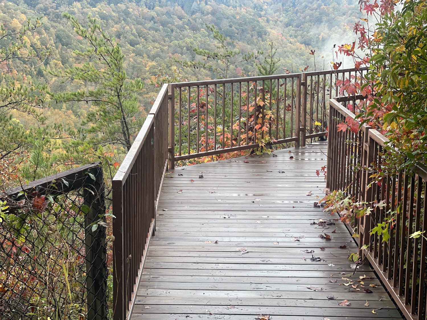 Devil’s Jump Overlook for Fall Colors - Hobbies on a Budget