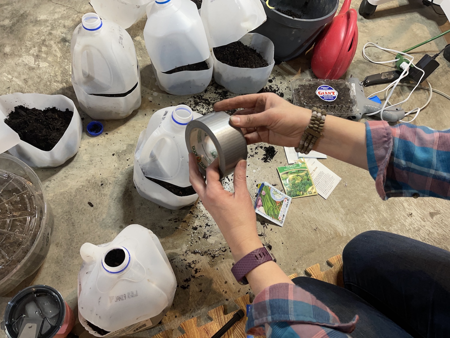 Winter Sowing Project (part 1) - Hobbies on a Budget