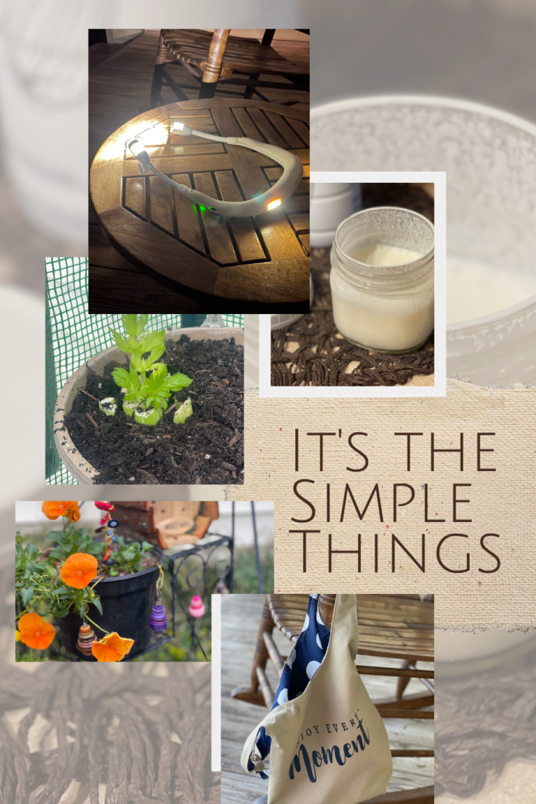 It’s the Simple Things - Hobbies on a Budget