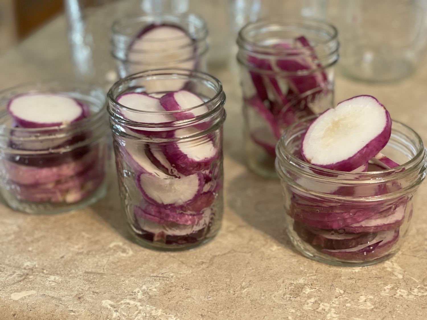 Easy Refrigerator Pickled Radishes - Hobbies on a Budget