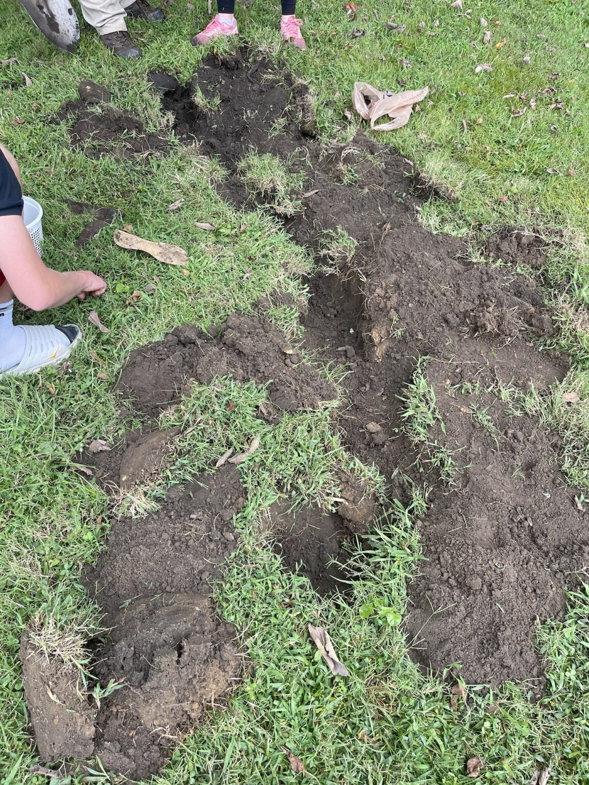 Tips for Beginner Metal Detecting - Hobbies on a Budget