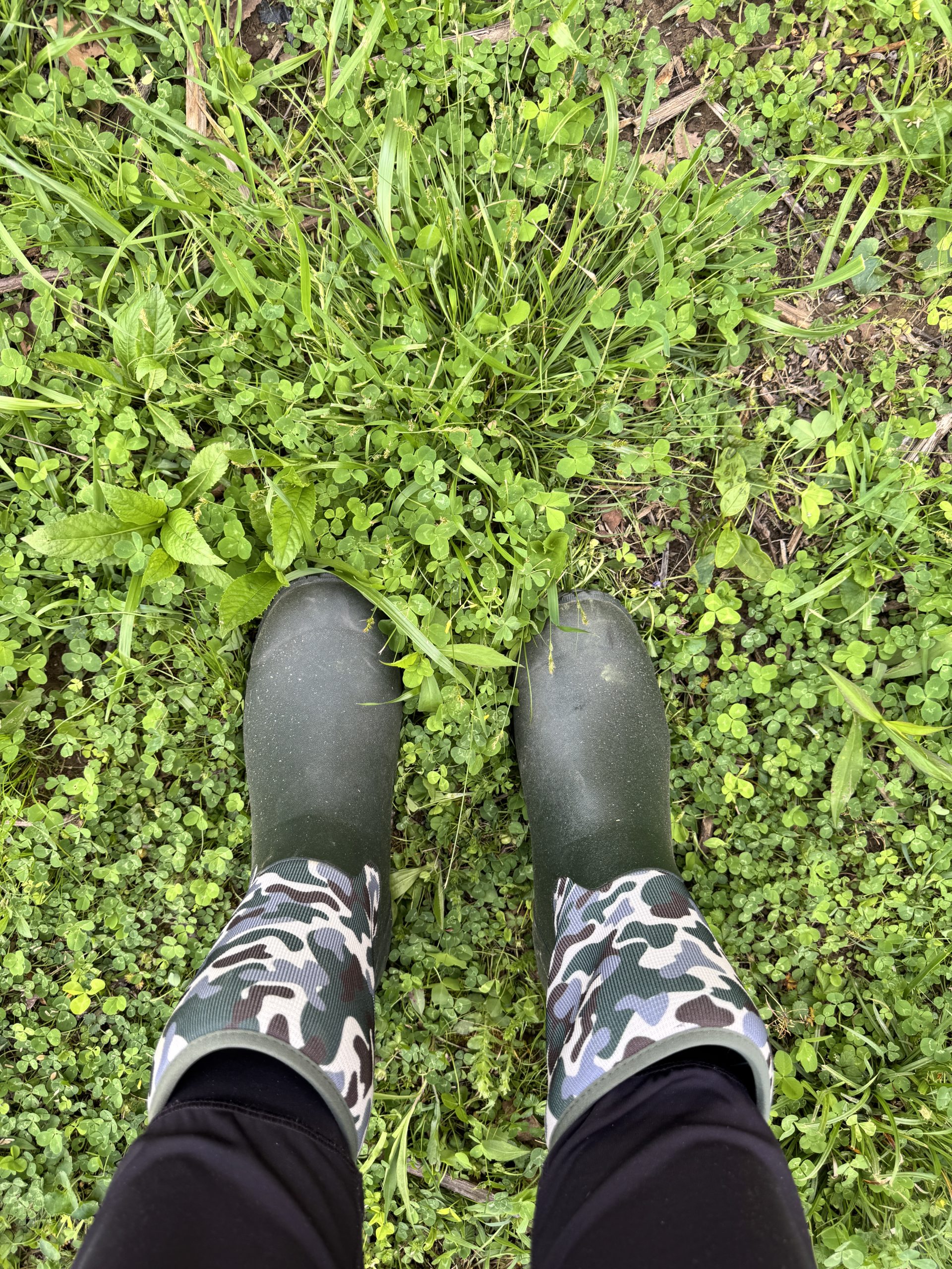 Garden Boots & Books: Ready for Spring Planting - Hobbies on a Budget